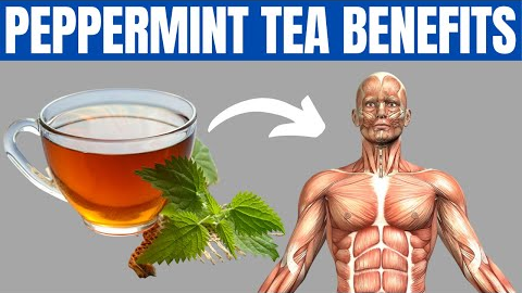PEPPERMINT TEA BENEFITS - 12 Reasons to Start Drinking