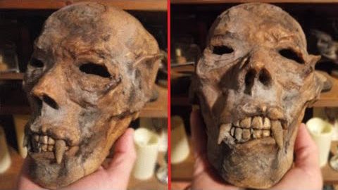 Top 5 Haunted Items Too Terrifying For Museums