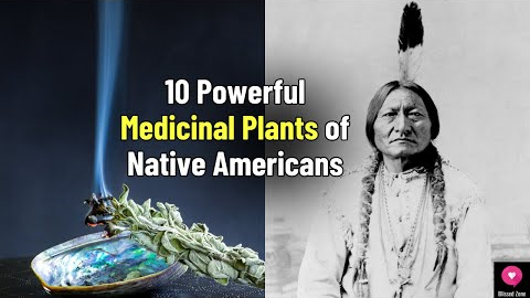 10 Powerful Medicinal Plants of Native Americans: Ancient