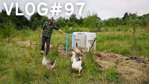 Our LATEST MOVEABLE GOOSE HOUSE | REUSING an IBC TANK