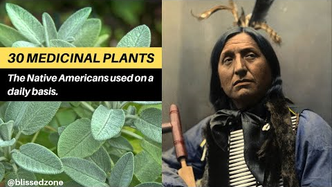30 medicinal plants the Native Americans used on a daily