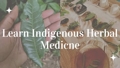 Learn Indigenous Herbal Medicine At Home! Step By Step Guide