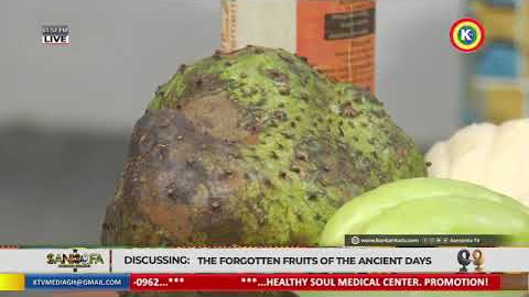 THE FORGOTTEN FRUITS OF THE ANCIENT DAYS