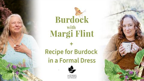 Burdock with Margi Flint + Recipe for Burdock in a Formal