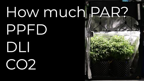 Best PAR intensity for plants | PPFD | DLI | CO2