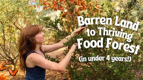 Homestead & Harvest: Step by Step How I Created my
