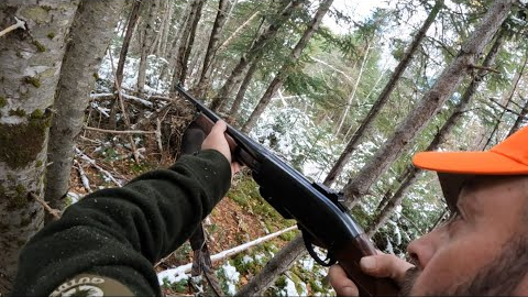 Still-Hunting Deer In Northern Maine (Week 1)