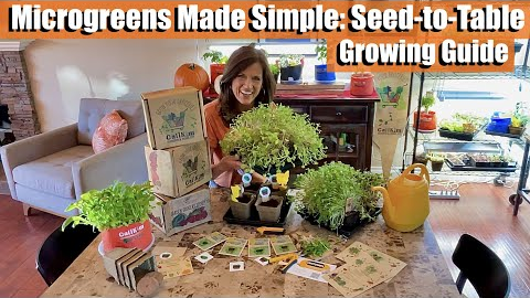Indoor Winter Microgreens Made Simple: Seed-to-Table
